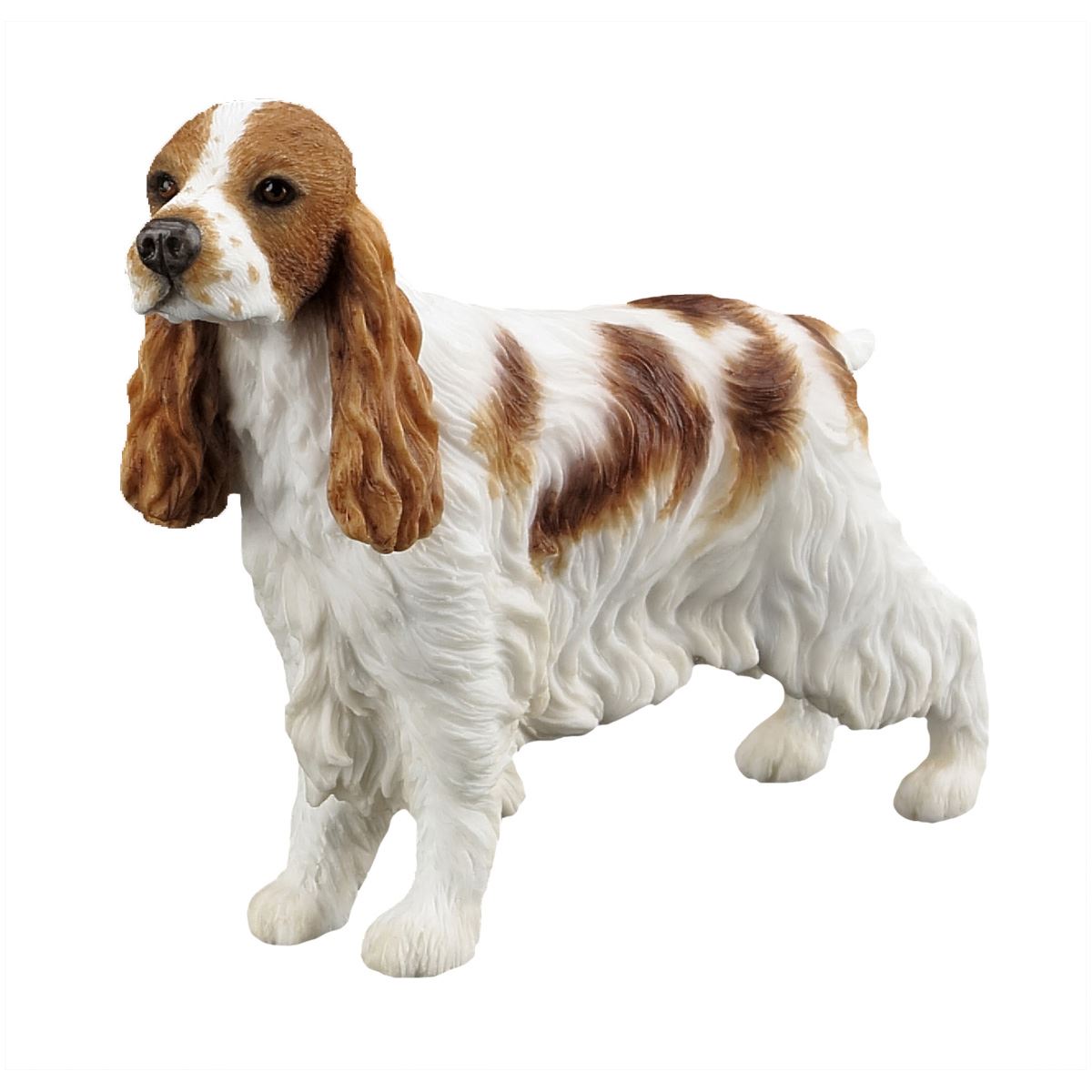 Cocker spaniel (white and red)