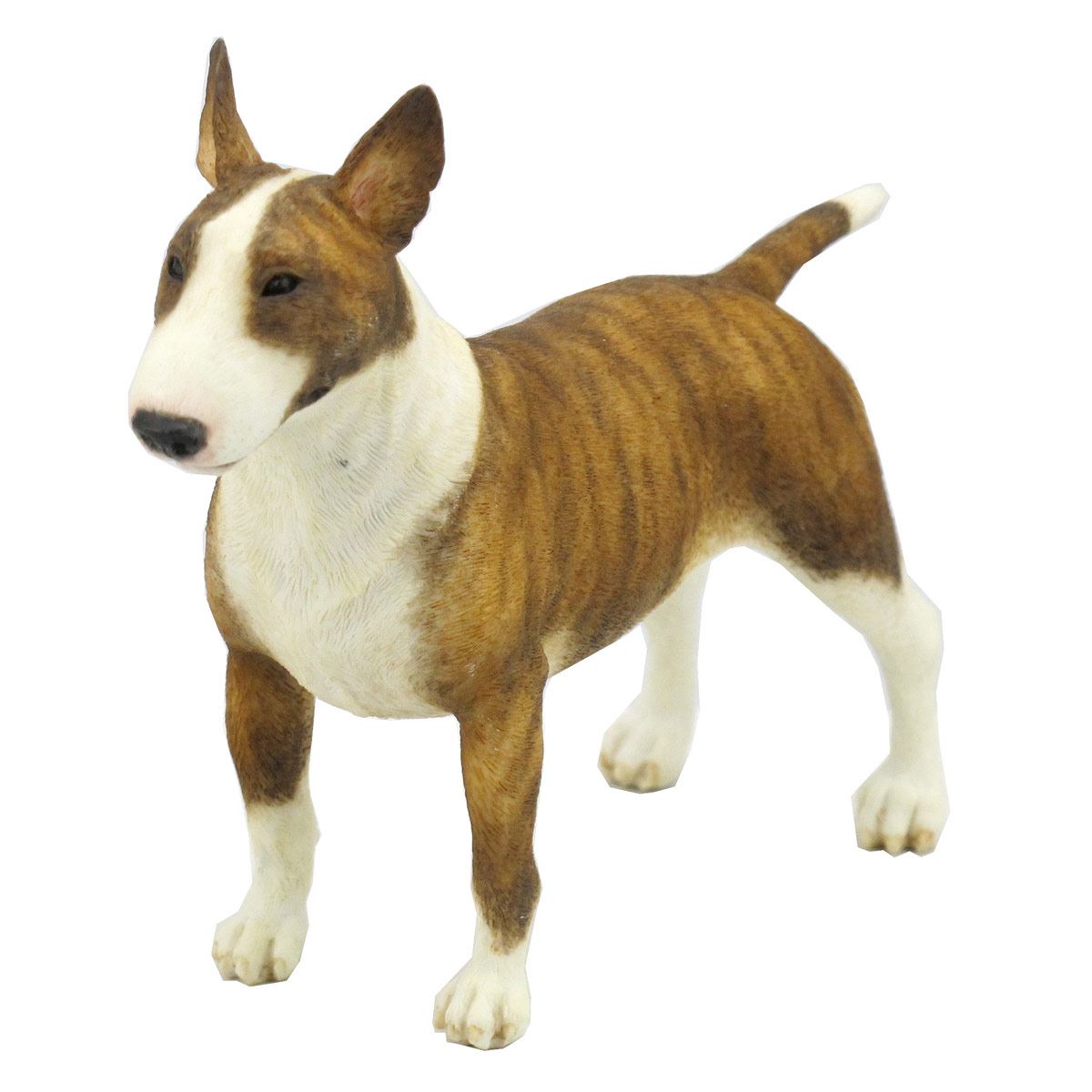 Perro bull terrier