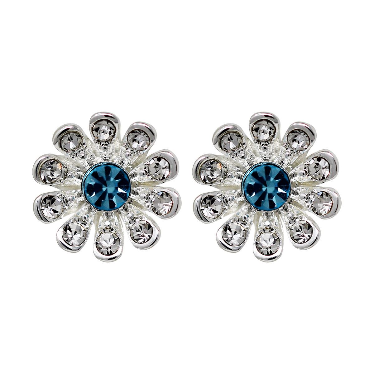 Aretes Napier Color Plata