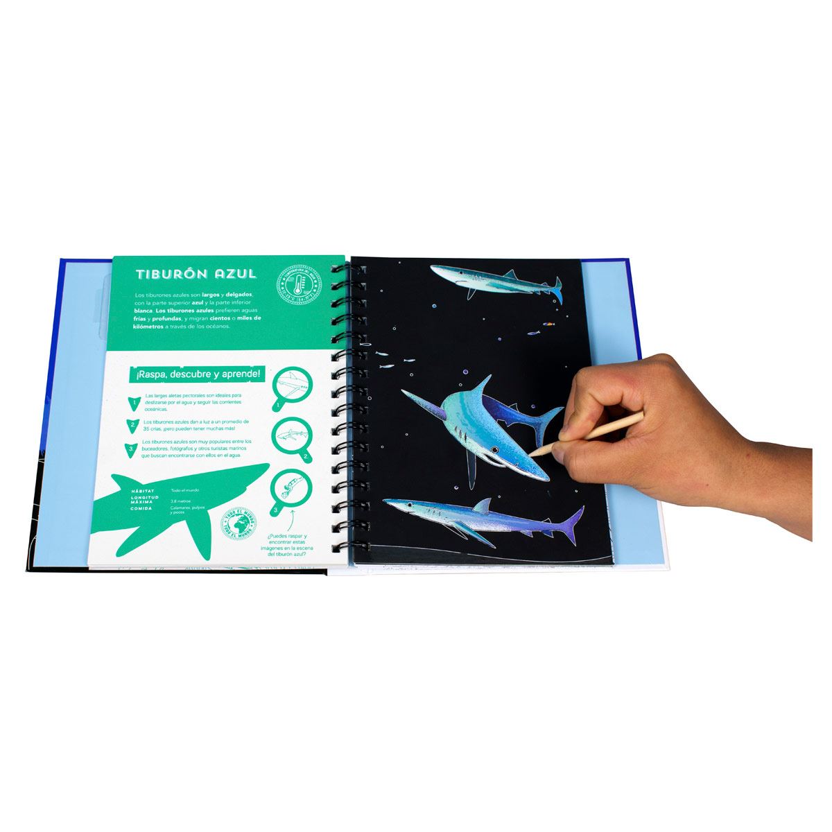 Raspa Descubre Y Aprende Tiburones Raspa Descubre Y Aprende Tiburones