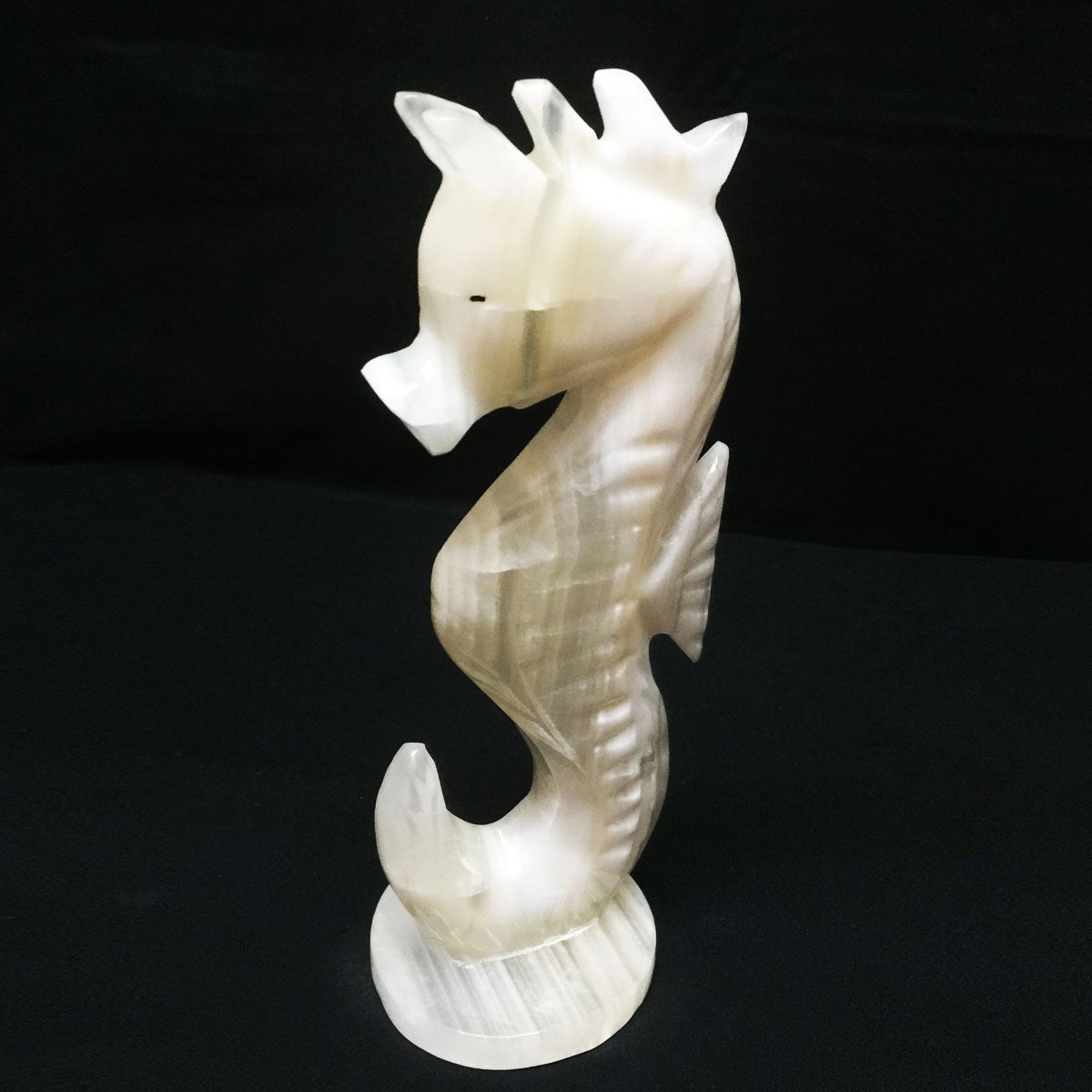 Caballito de mar ónix