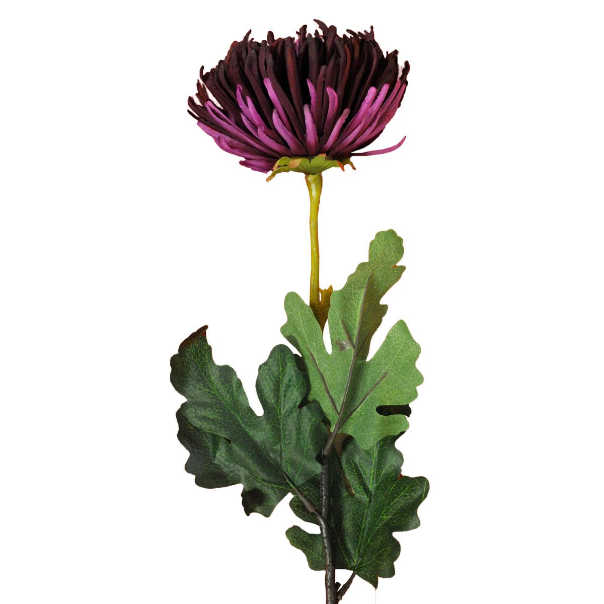 Crisantemo color morado Art Home