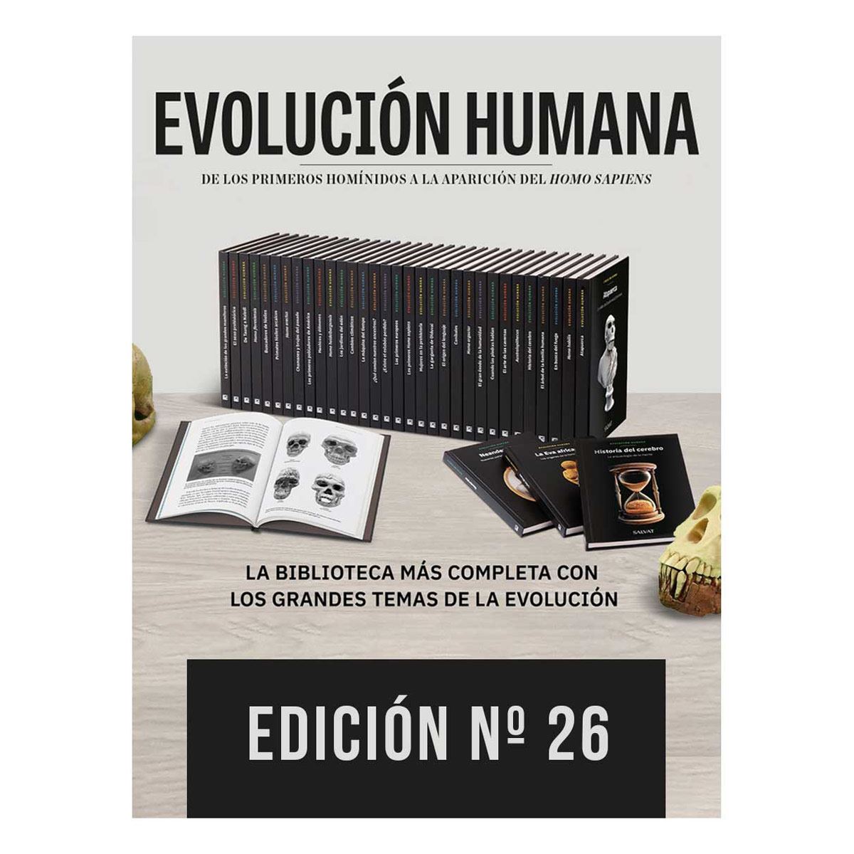 Colección Evolución Humana 0026 Editorial Salvat SL Ciencia