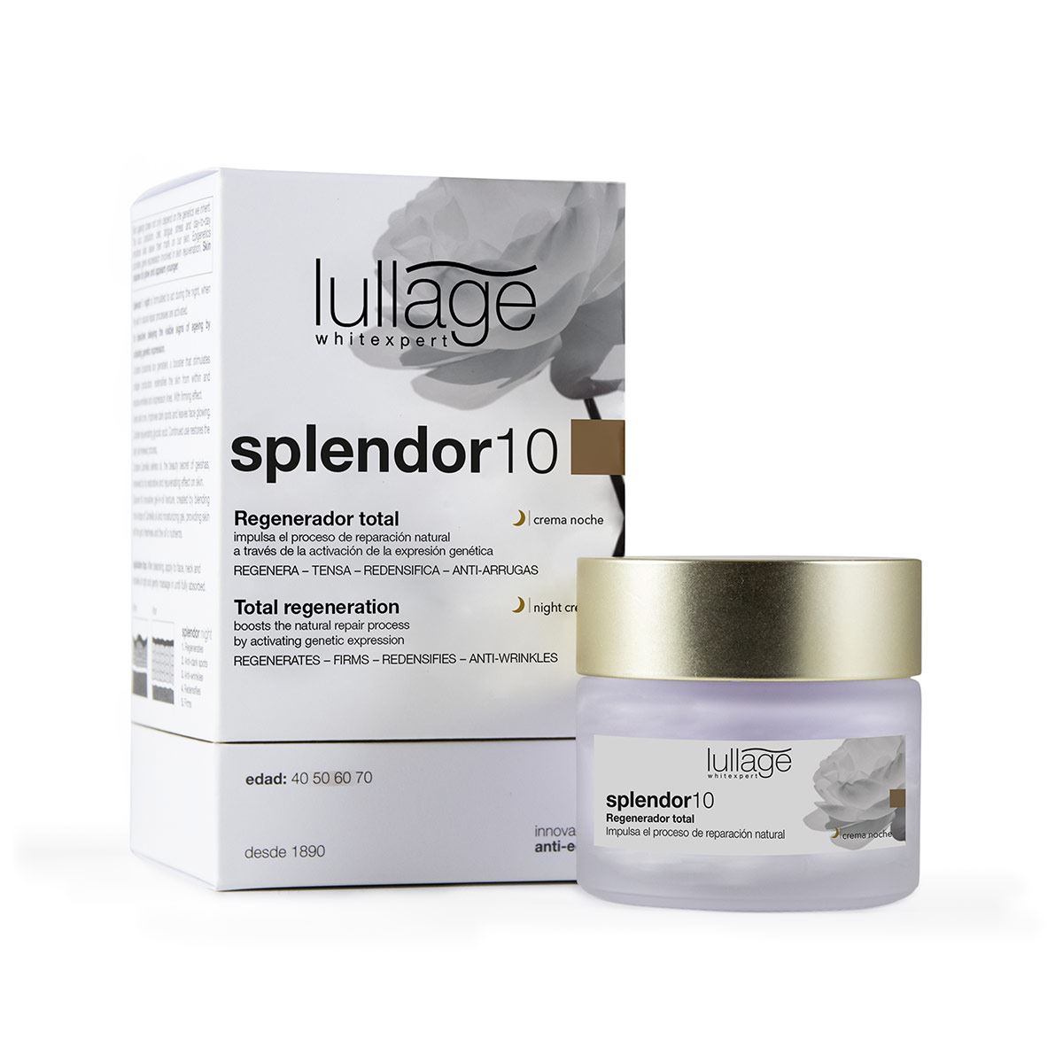 Splendor 10 Noche Regenerador Total Lullage Agexpert