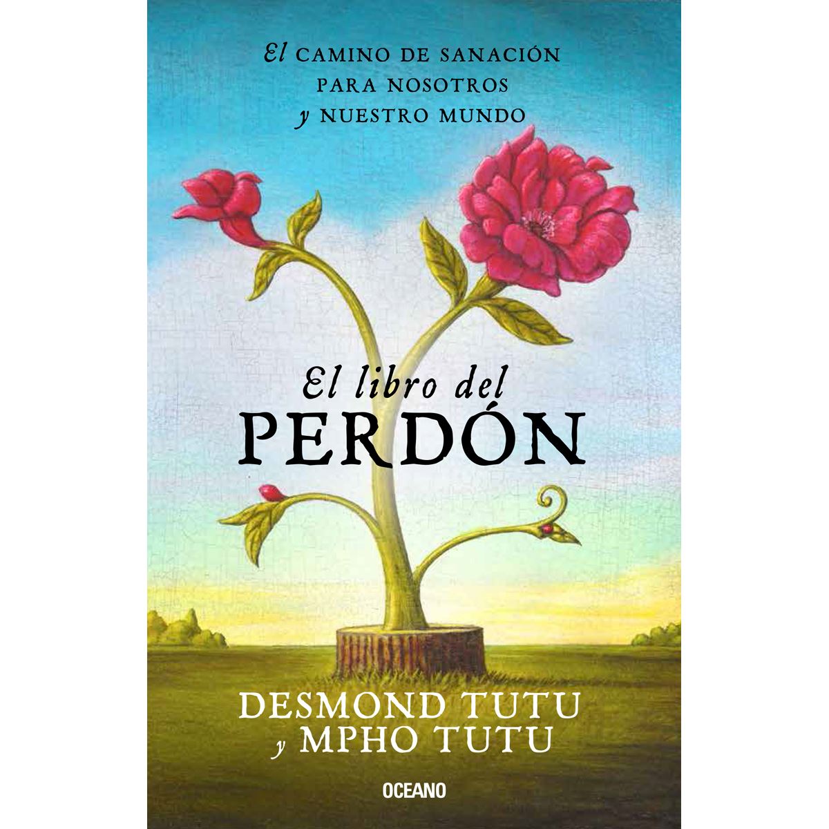 El Libro Del Perdón