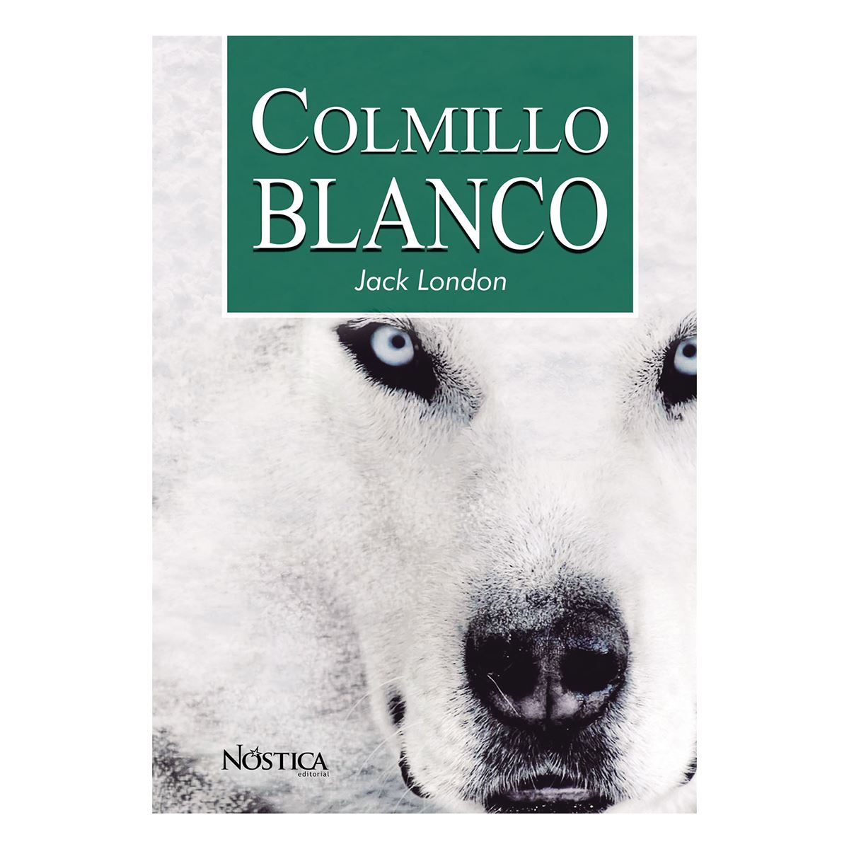 Colmillo blanco