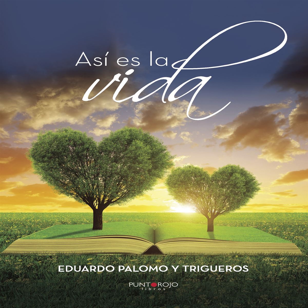 Así es la vida