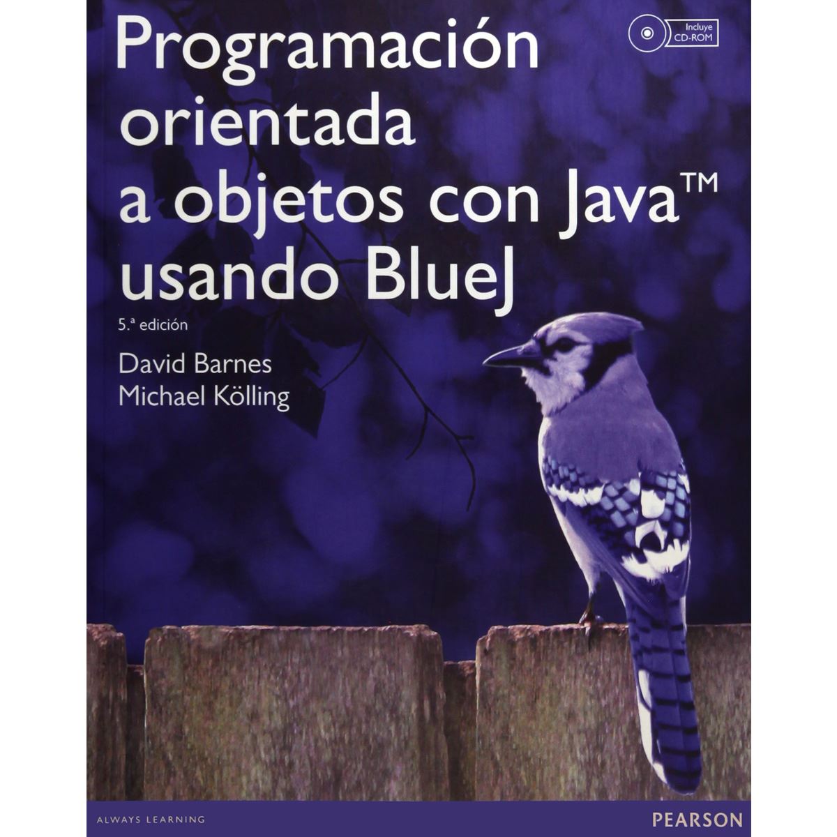 Programación Orientada A Objetos Con Java