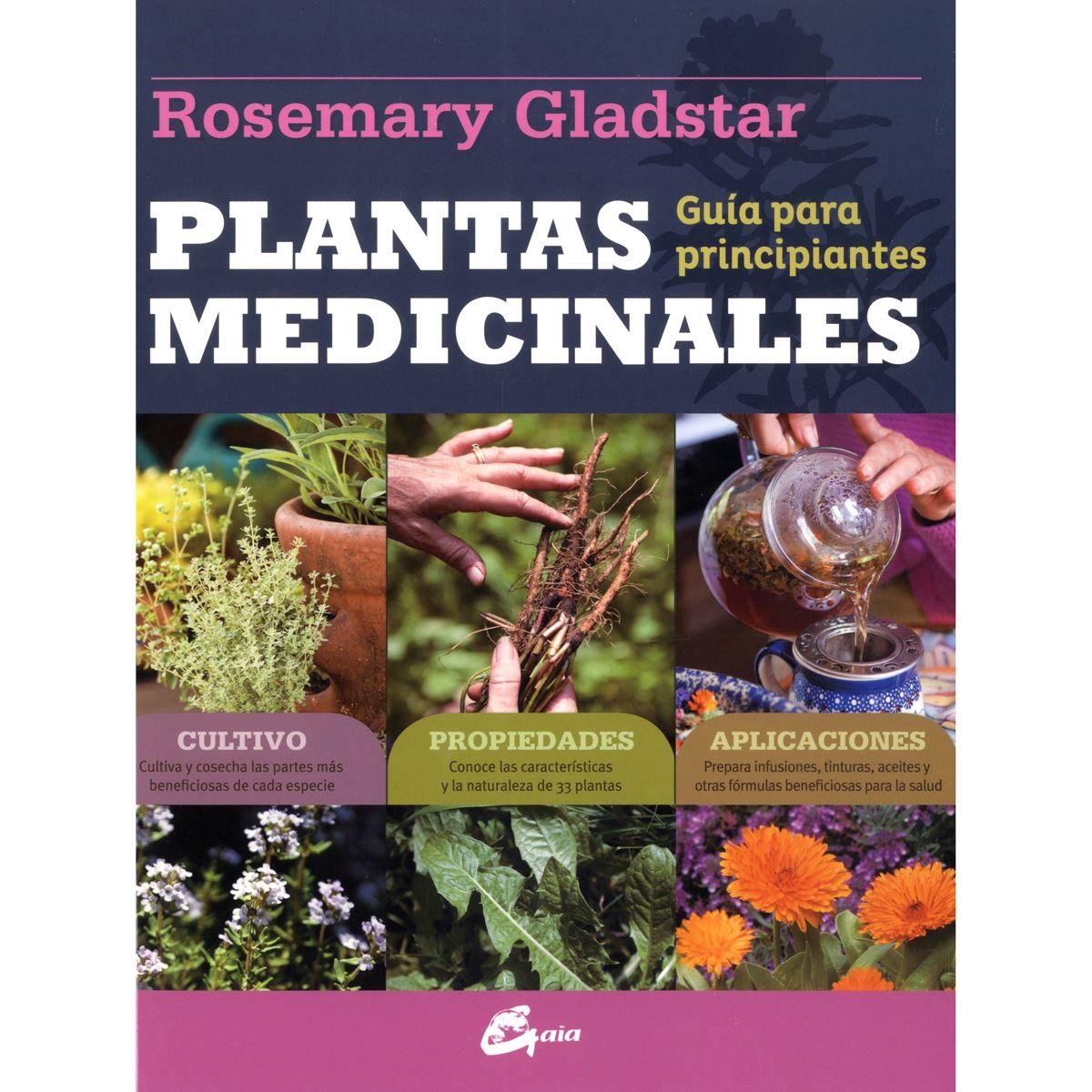 Plantas medicinales. Guía para principiantes
