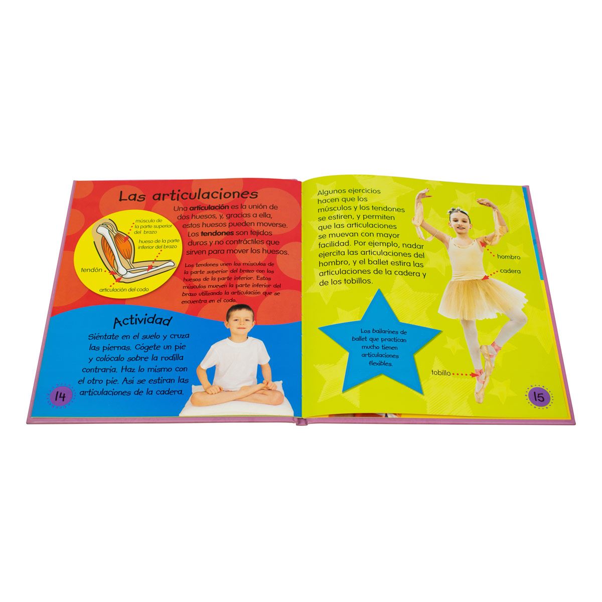 El Cuerpo Humano, En Forma