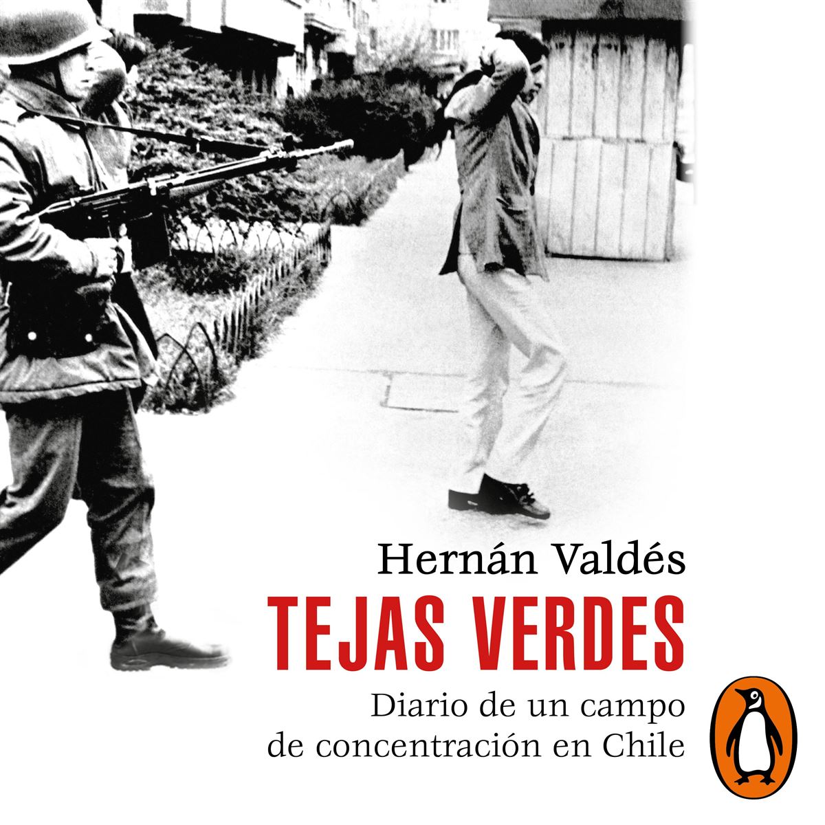 Tejas verdes