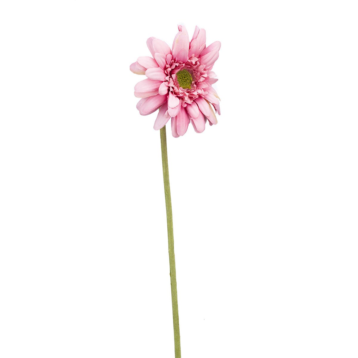 Tallo Gerbera Rosa