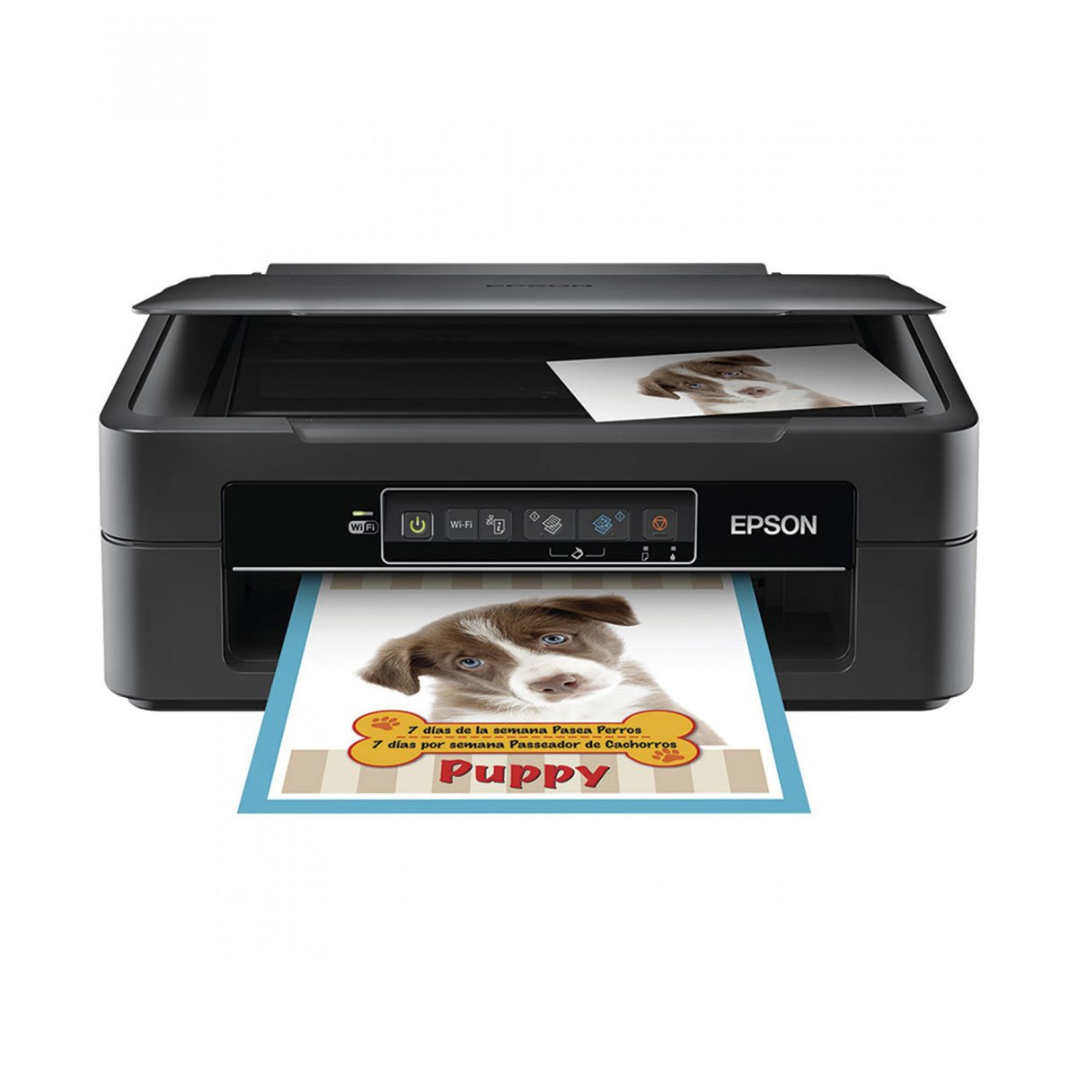 Impresora Epson Expression Xp-241