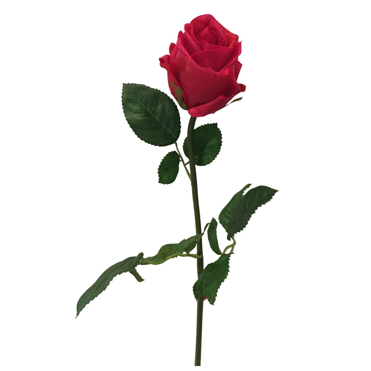 Botón Rosa Rosa/roja Lottus