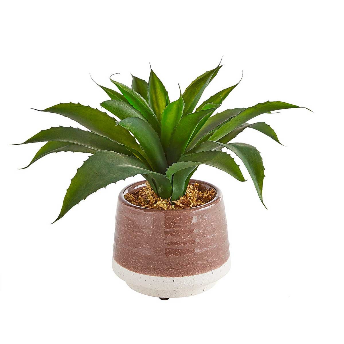 Maceta Agave en Ceramica Pier 1 Imports