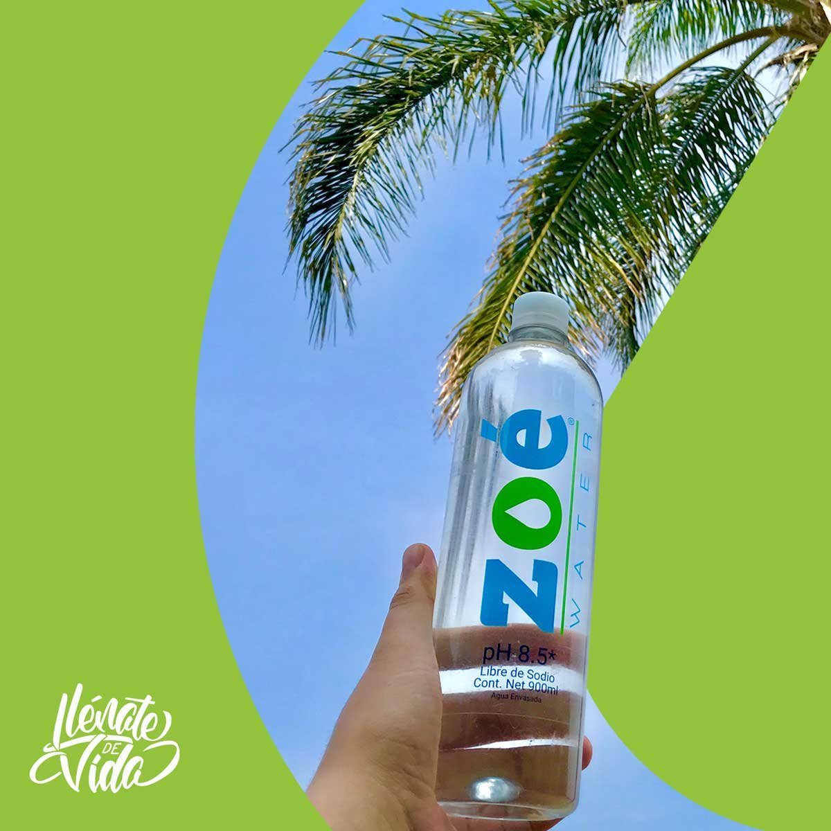 Agua Alcalina Ionizada 900 Ml Zoe Water
