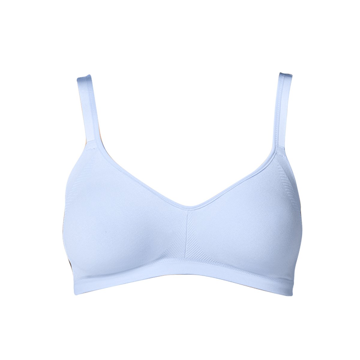 Brasier Azul con Varilla Warners