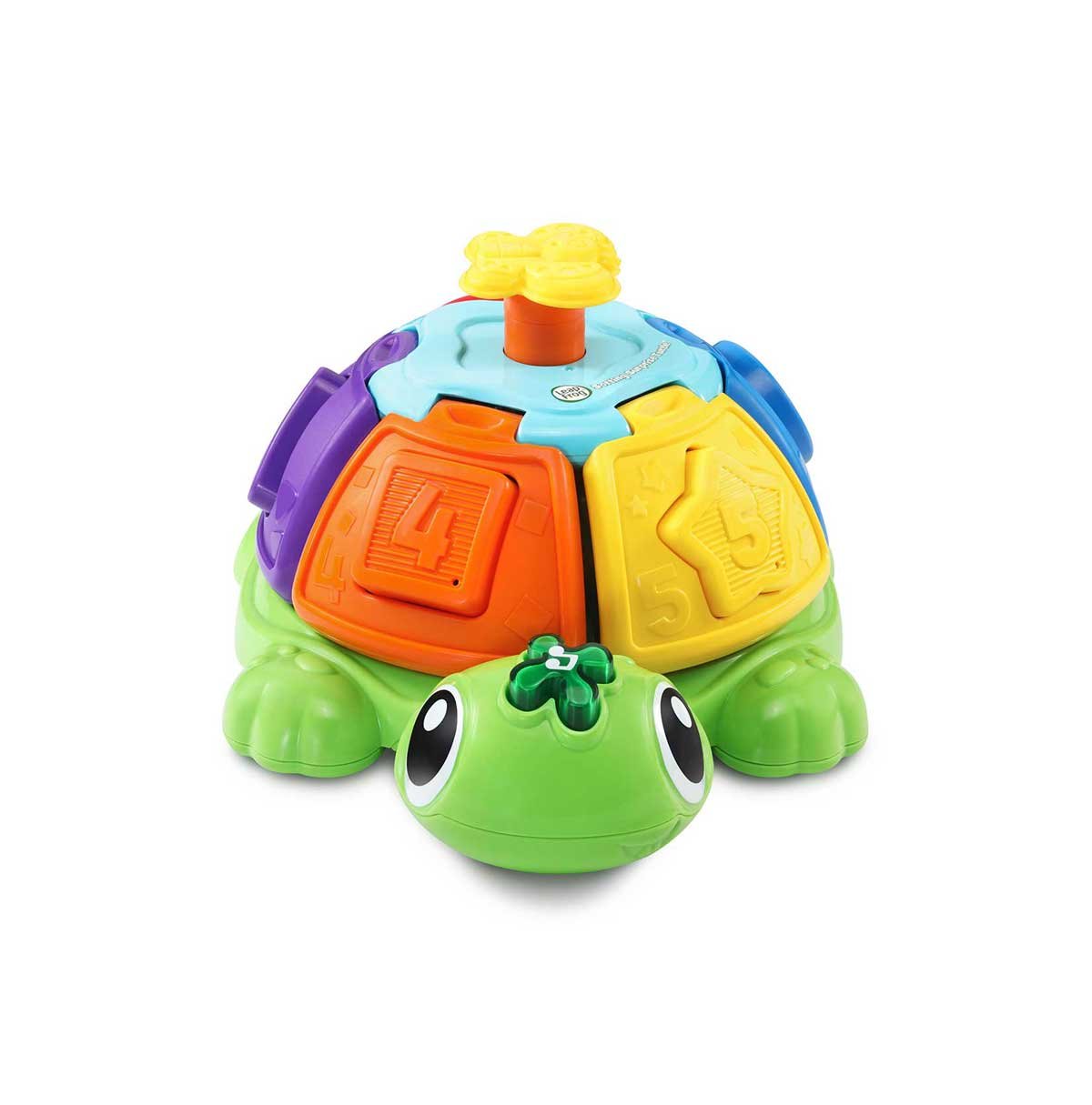 Sort & Spin Turtle