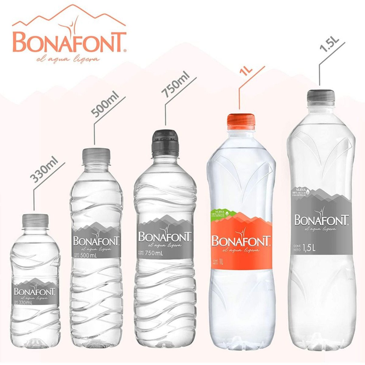 Agua Natural, 1 L. Bonafont