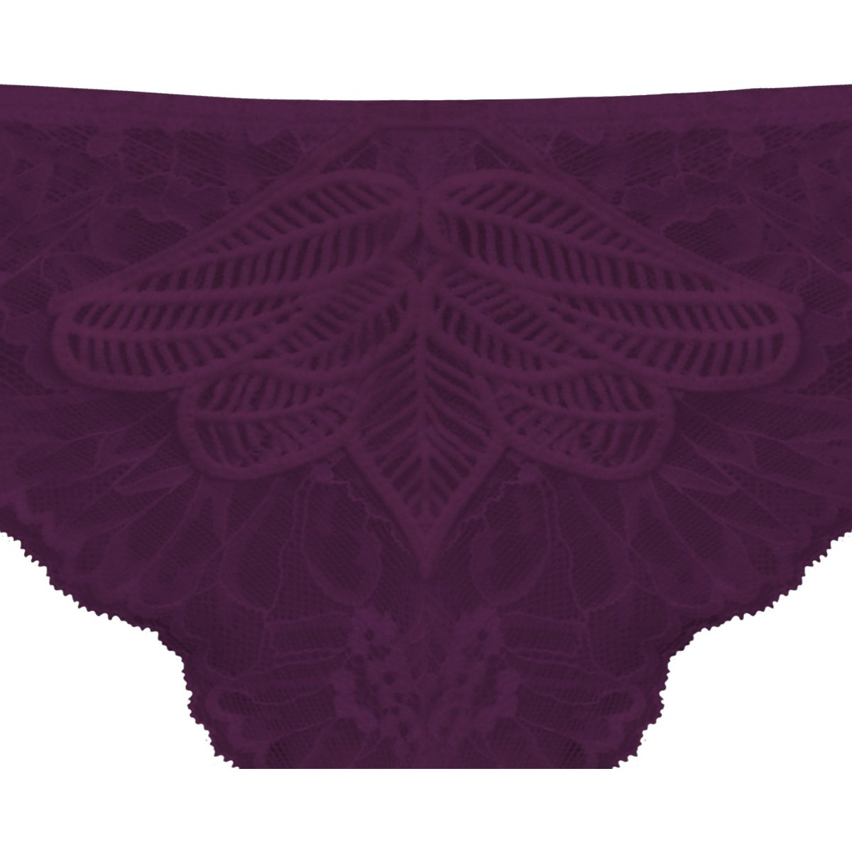 Bikini de Encaje Vicky Form