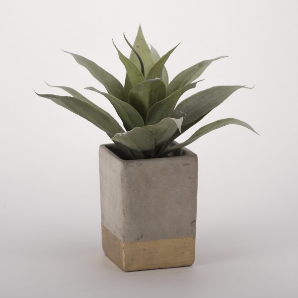 Macetita Agave - Gris - Kessa