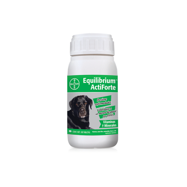 Equilibrium actiforte 60 tab bayer
