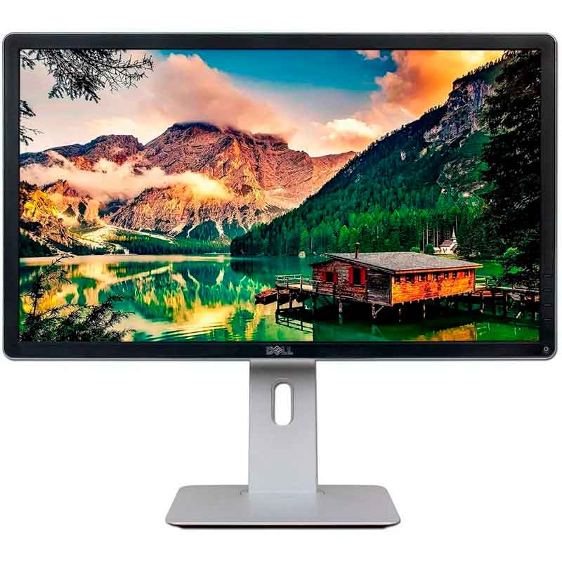 Monitor DELL 24 P2414H Ajustable Full HD 60 Hz VGA Displayport USB