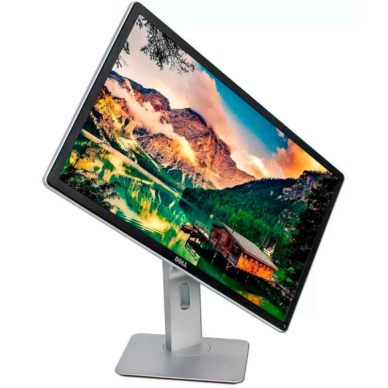 Monitor DELL 24 P2414H Ajustable Full HD 60 Hz VGA Displayport USB