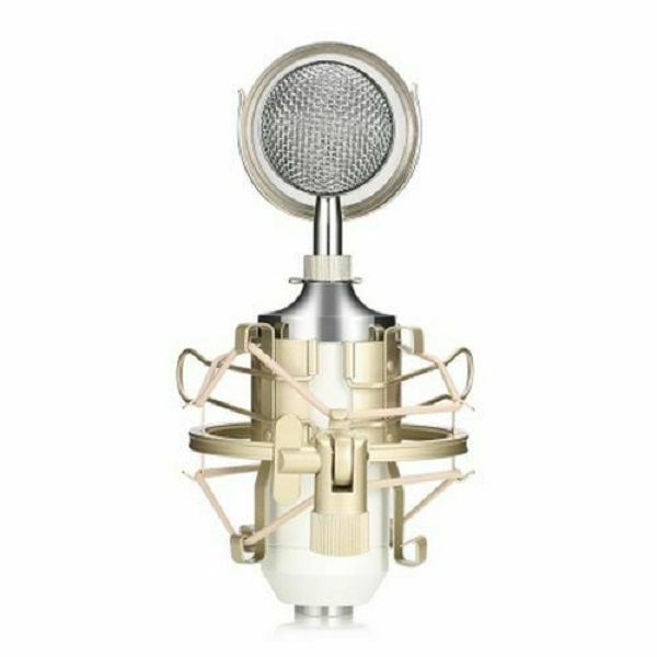 Microfono Condensador Profesional Bm8000 Color Blanco