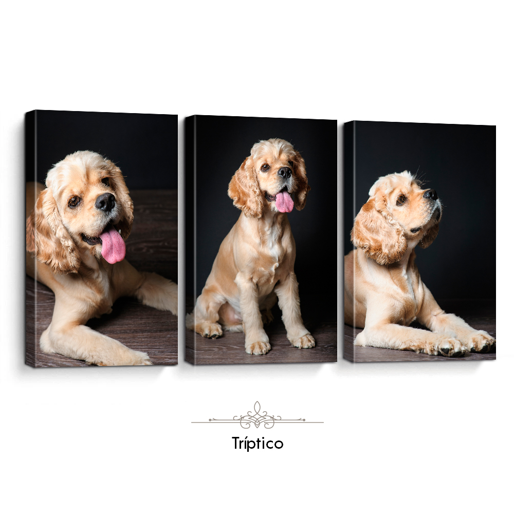 Cuadros Decorativos Cocker Spaniel MobileCity Set 3 piezas 40 x 60