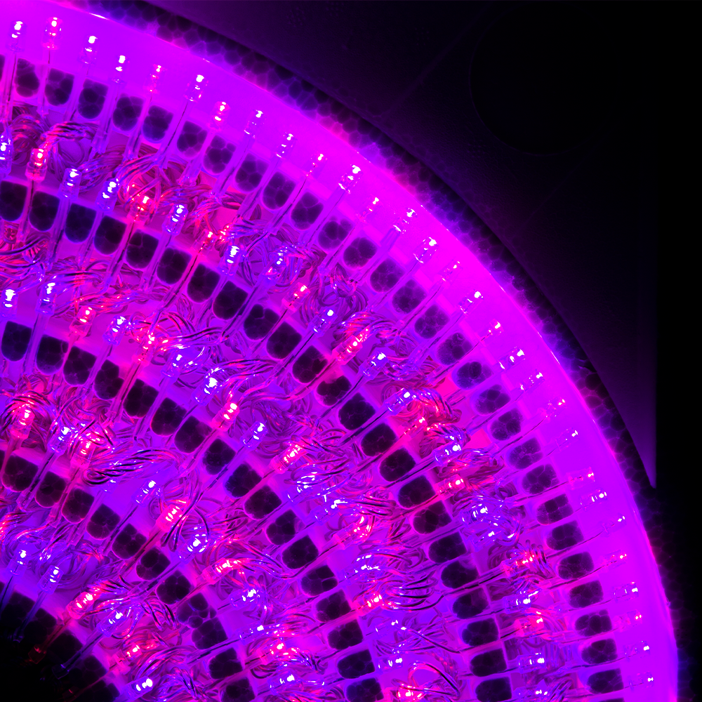 Serie Decorativa Luz Led Rosa/Morado 500 Focos 8 Funciones Cable ...
