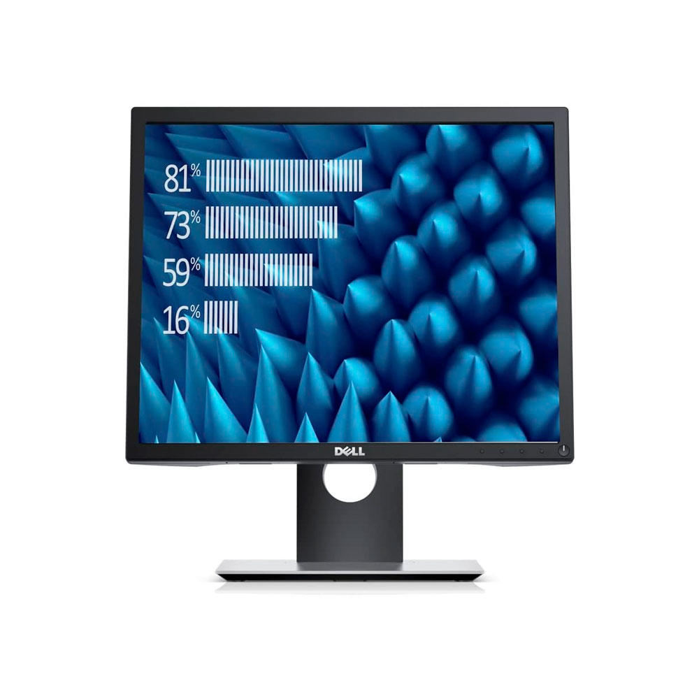 MONITOR DELL P1917S