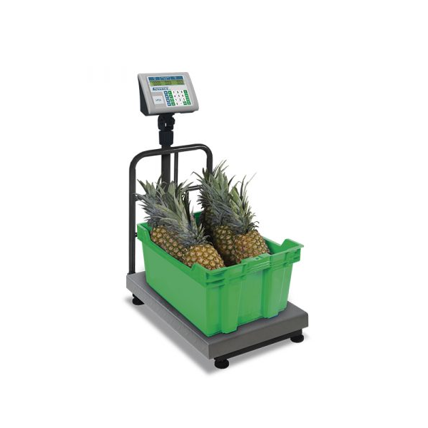 Báscula Digital Advance Rh Baple 400kg Plato 50 cm X 60 cm