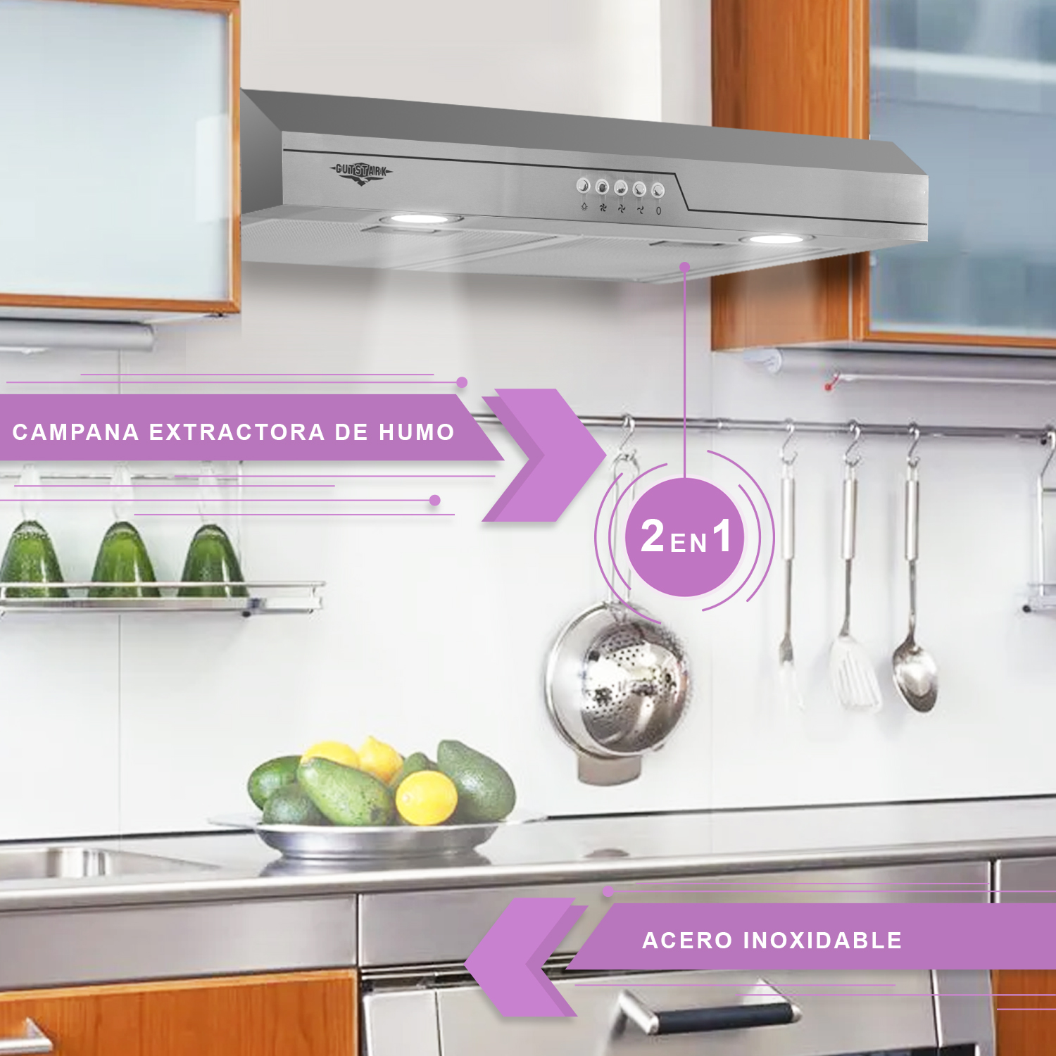 Campana Extractora Purificadora Acero Inoxidable 70 cm Pared Cocina Gutstark