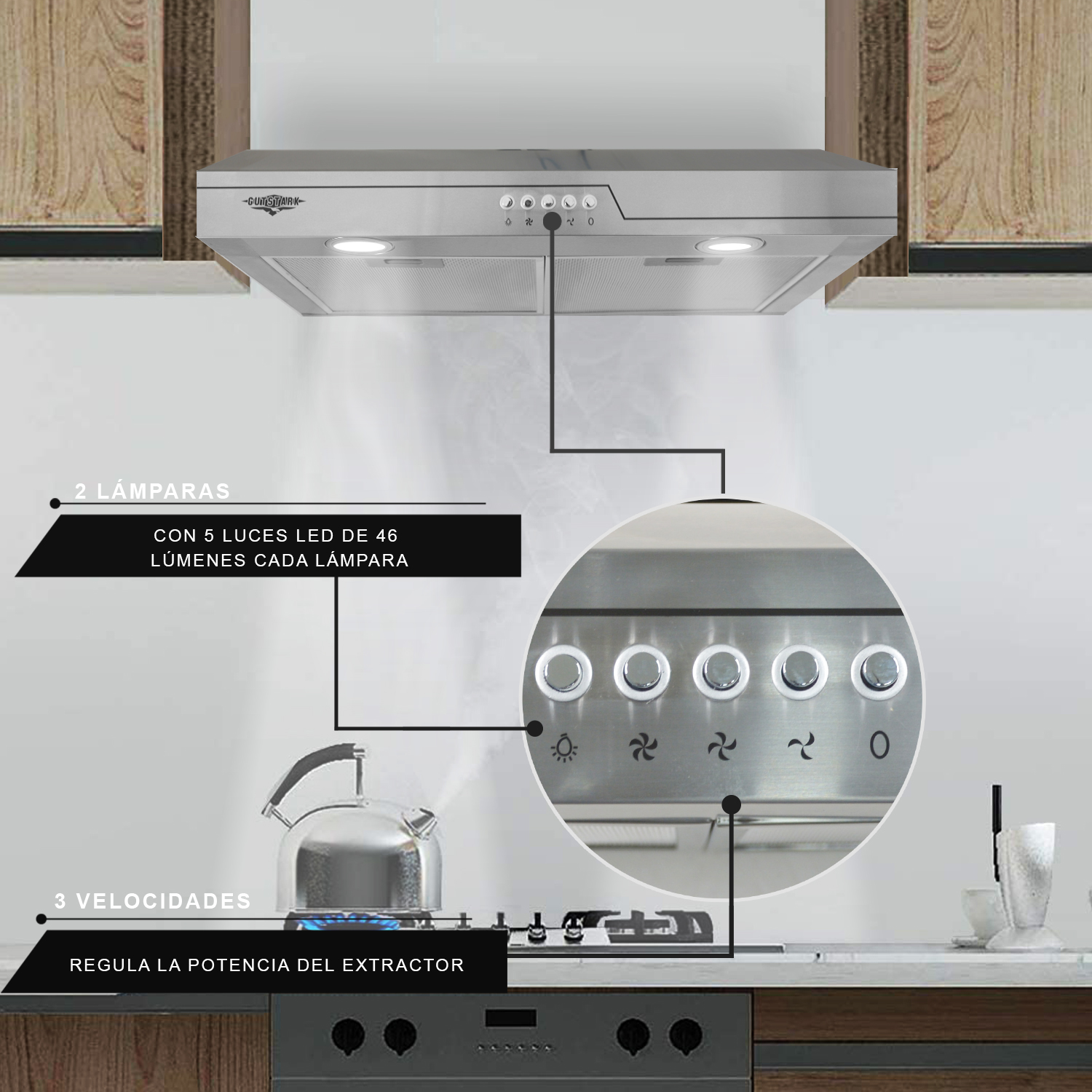 Campana Extractora Purificadora Acero Inoxidable 70 cm Pared Cocina Gutstark