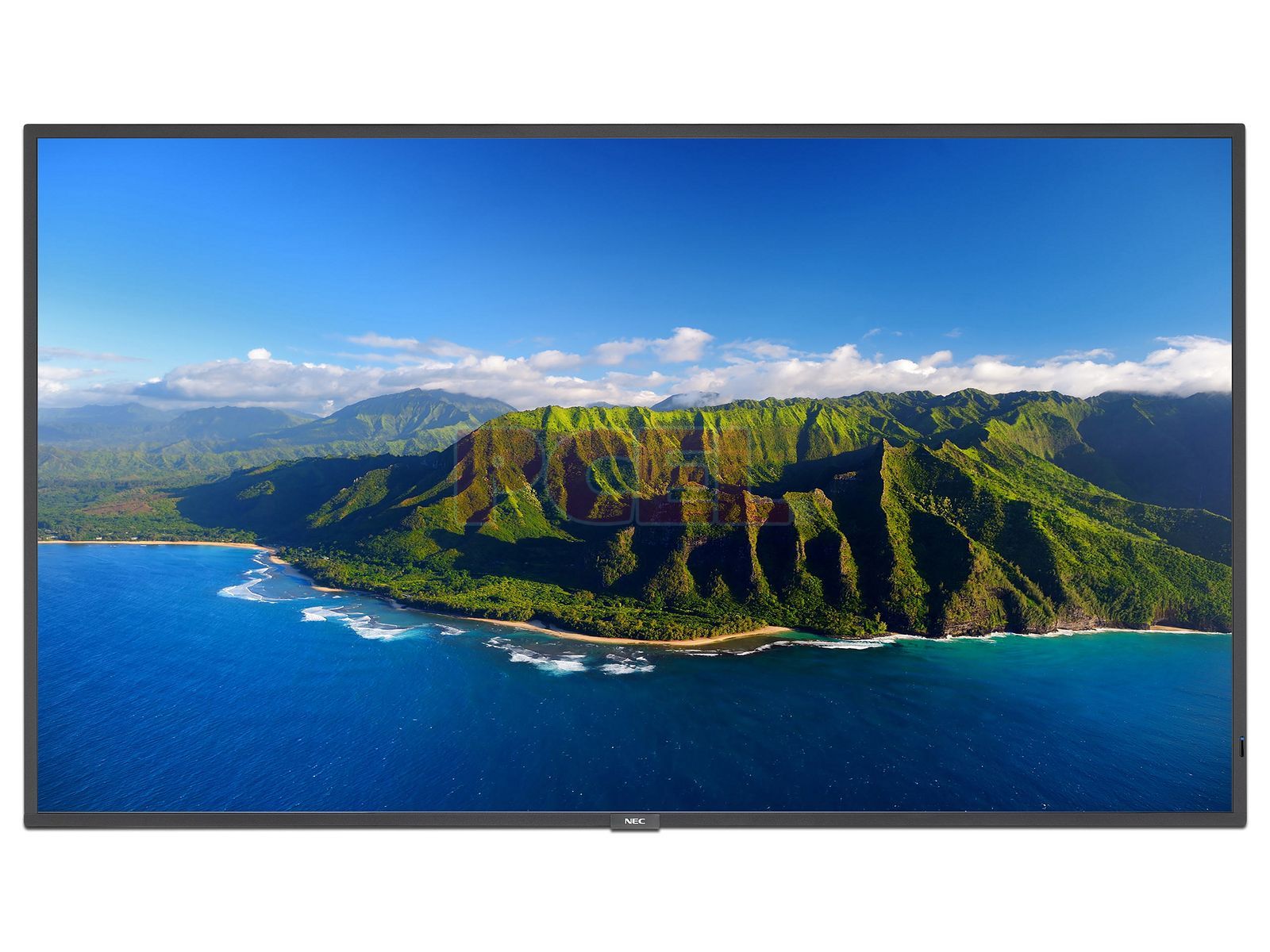 Monitor Profesional NEC ME651 - 65" - 4K Ultra HD