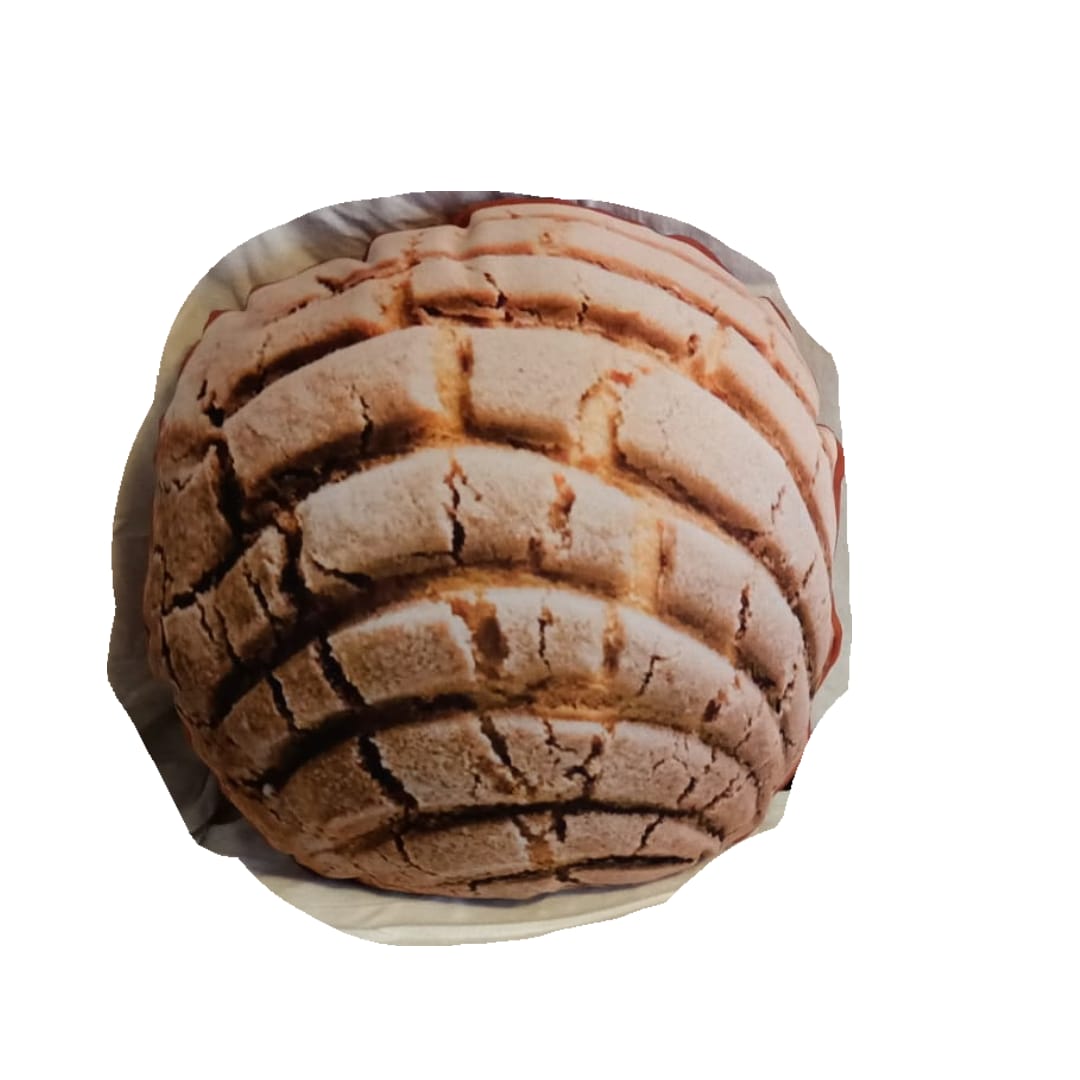 COJIN DECORATIVO PAN CONCHA CHOCOLATE