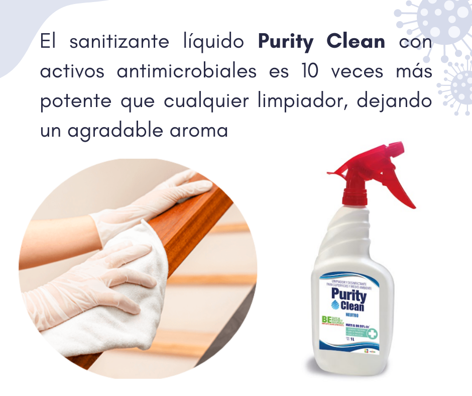 Sanitizante Sales Cuaternarias 1L Purity Clean 10 Piezas