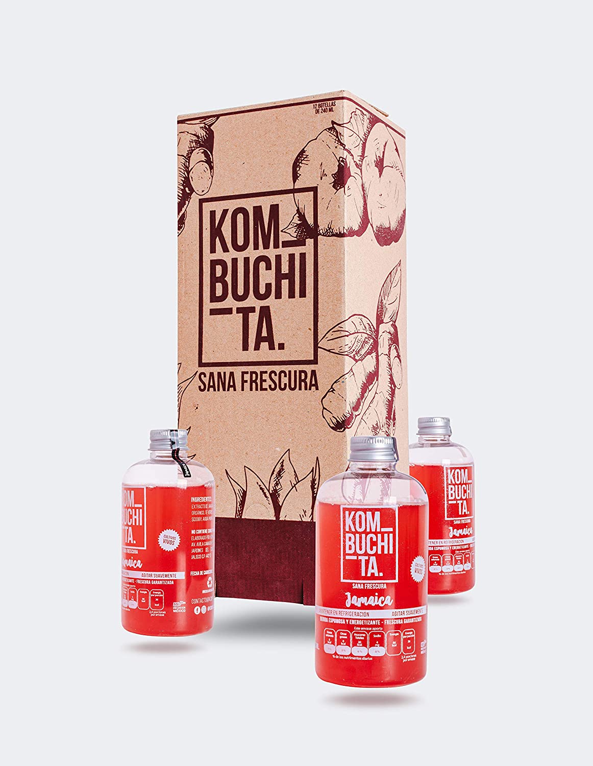 KOMBUCHITA 12 pack de Kombucha Jamaica (12 x 240ml) . Producto plus ...