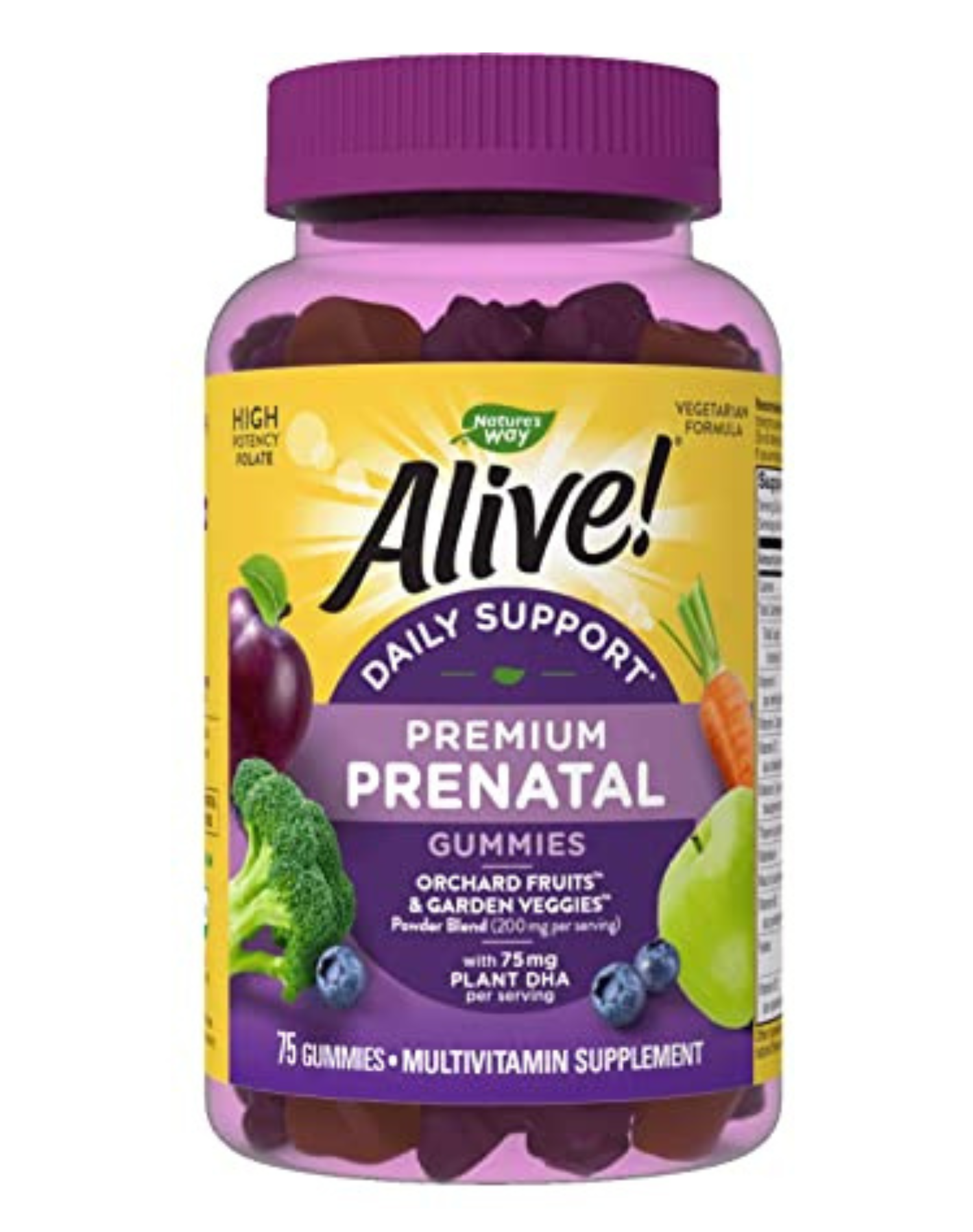 Nature's way alive complete Premium prenatal 75mg Plant Dha 75 ct ...