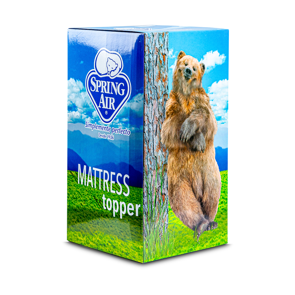 Colchoneta Spring Air Matress Individual