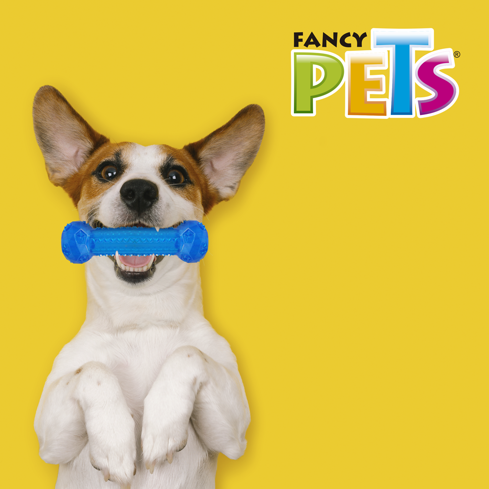 Fancy Pets Juguete Prisma Mancuerna para Perro con Sonido Tamaño Chico