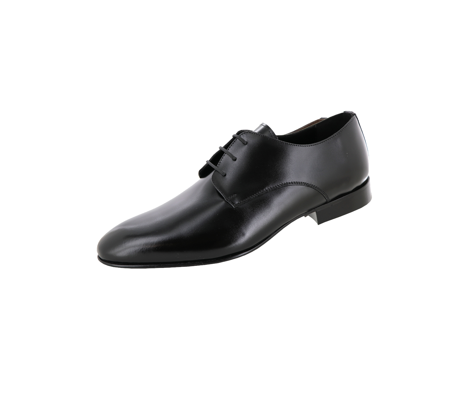 Evolucion 20502 NEGRO