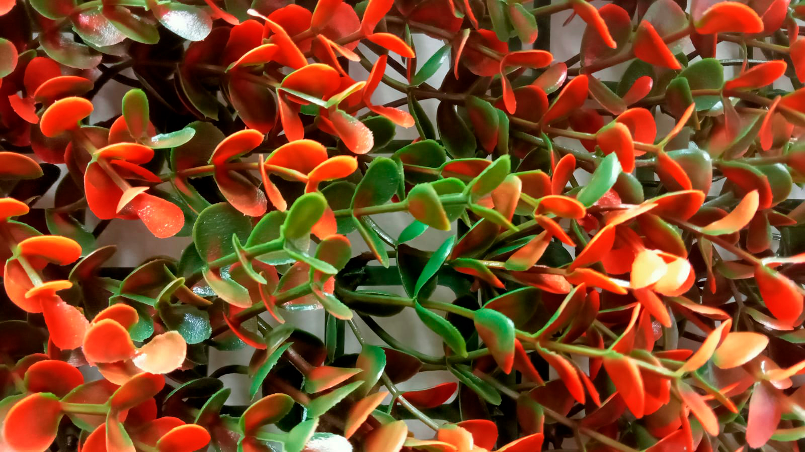 Follaje Sintetico Tekno Step 8 Pzas 50x50 Cm Arrayan Rojo 2m2