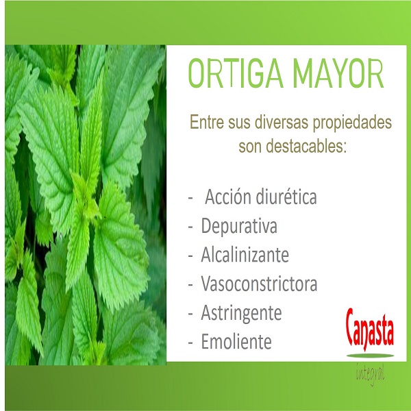 Té de Ortiga 250g Orgánico Natural
