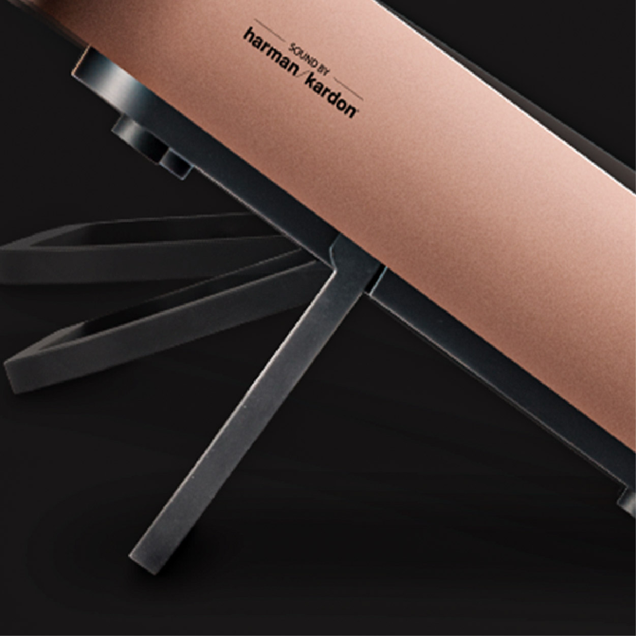 Luxus Harman Kardon Lautsprecherhalter Fotos