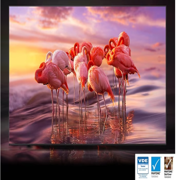 SAMSUNG Pantalla QLED 50" 4K Smart TV Renovada