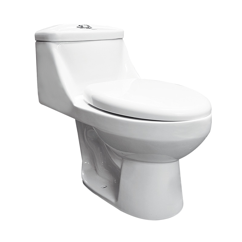 WC cerámico, resistencia y estilo en una pieza