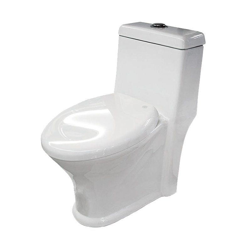 WC cerámico, transforma tu espacio