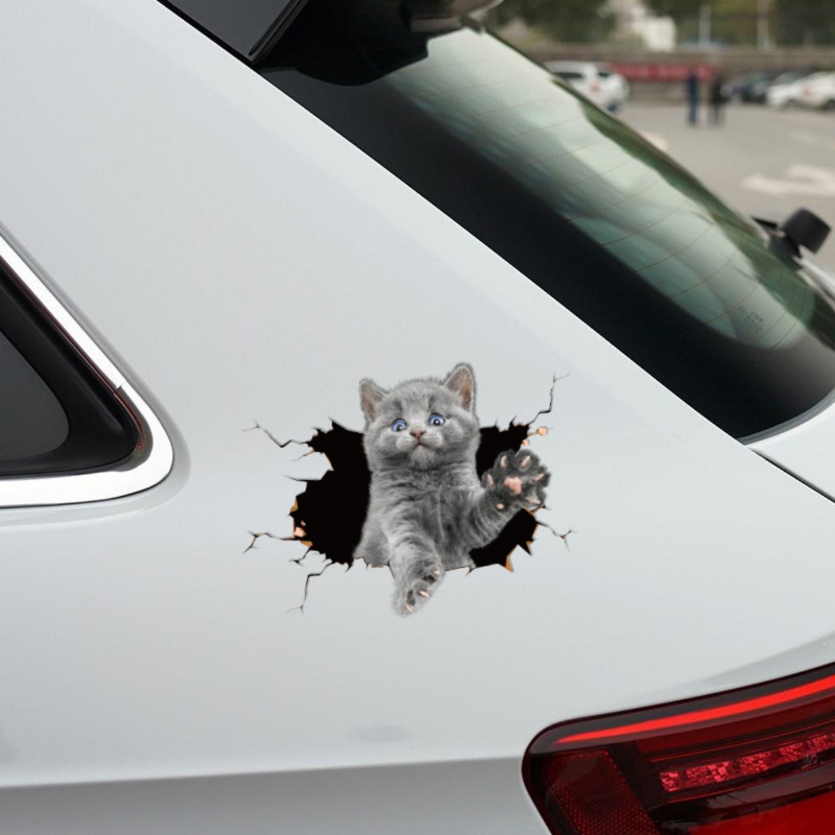 Stikers De Gatitos Divertido Para Decoración De Auto O Casa